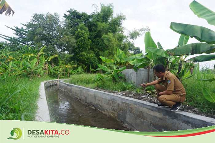 Pembangunan Infrastruktur Semakin Merata, Upaya Pemdes Perak Jombang ...
